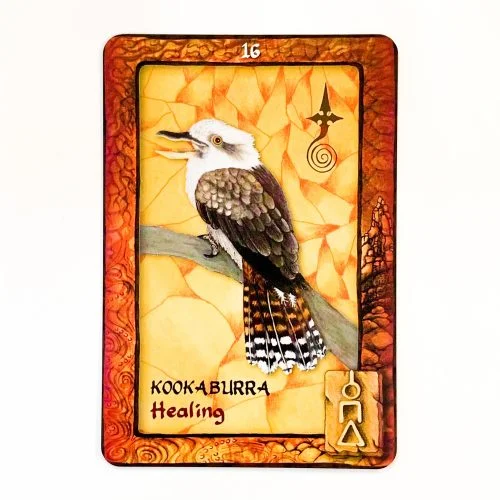 Animal Dreaming Oracle Cards by Scott Alexander King