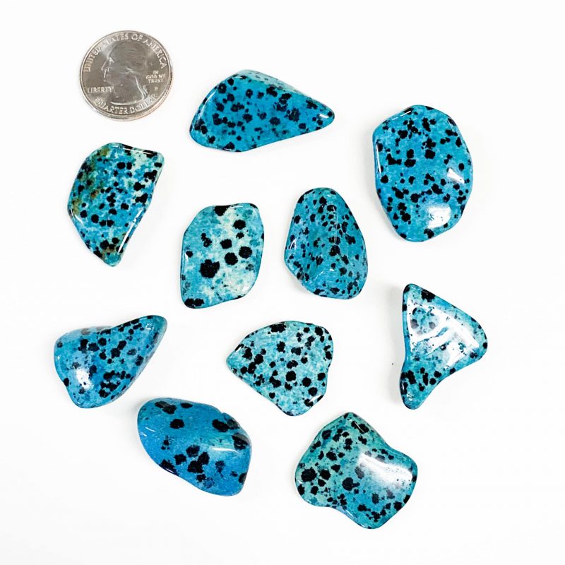 Blue Dalmatian Jasper - Loyalty and Unconditional Love