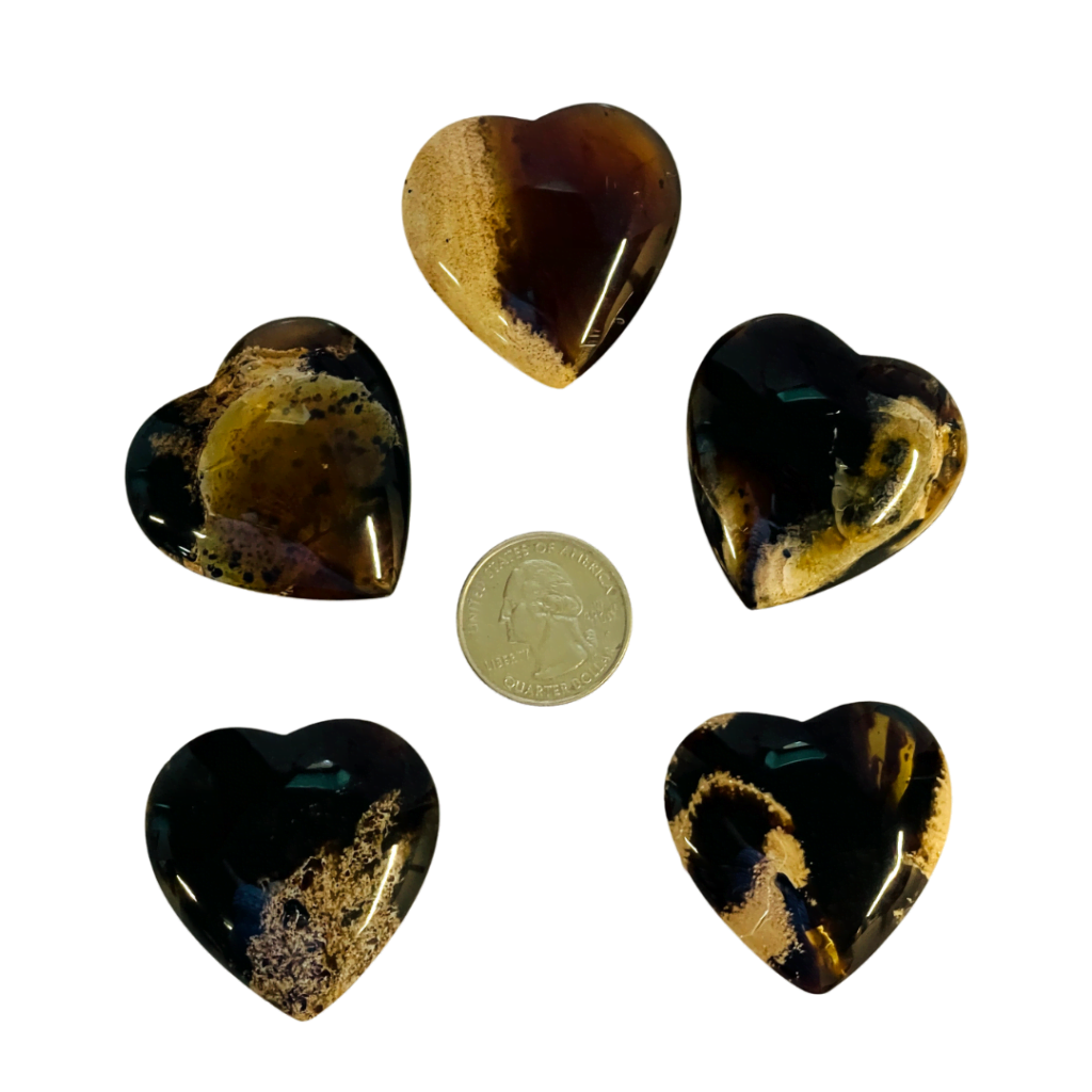 Amber Heart | Boundaries, Ancient Wisdom, and Detoxification