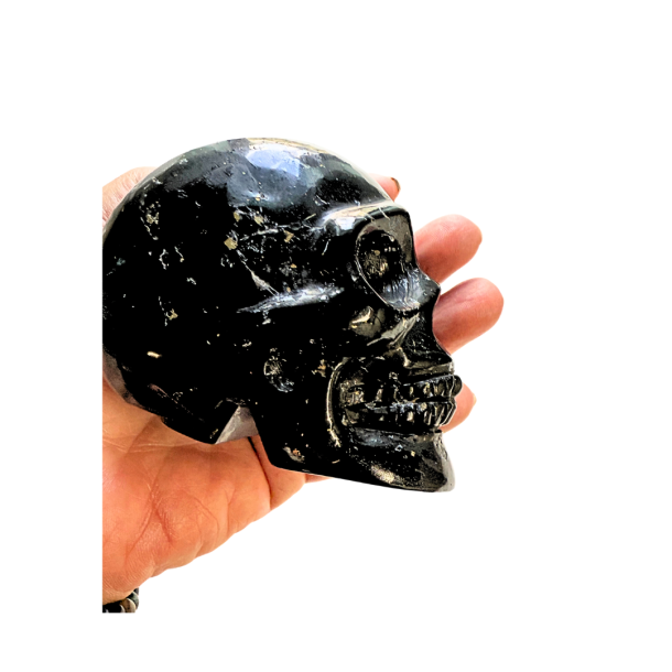 Shungite Skull