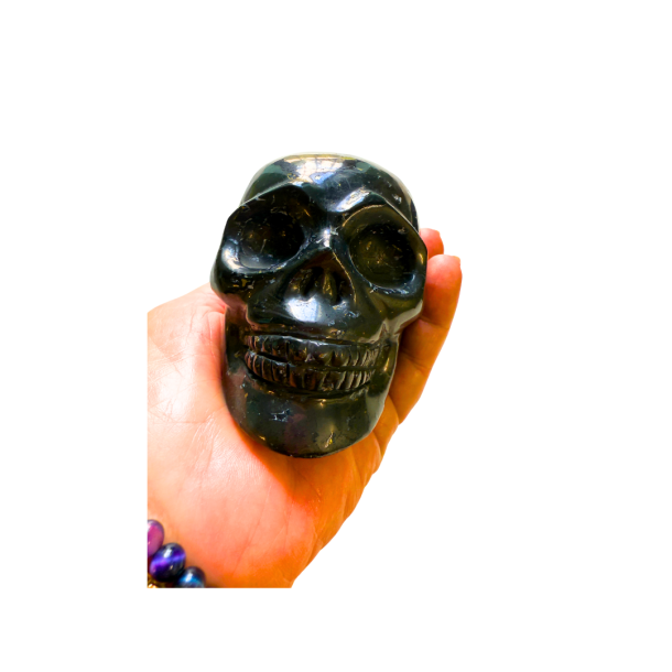 Shungite Skull